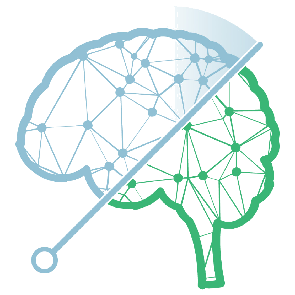 BrainView - BrainView