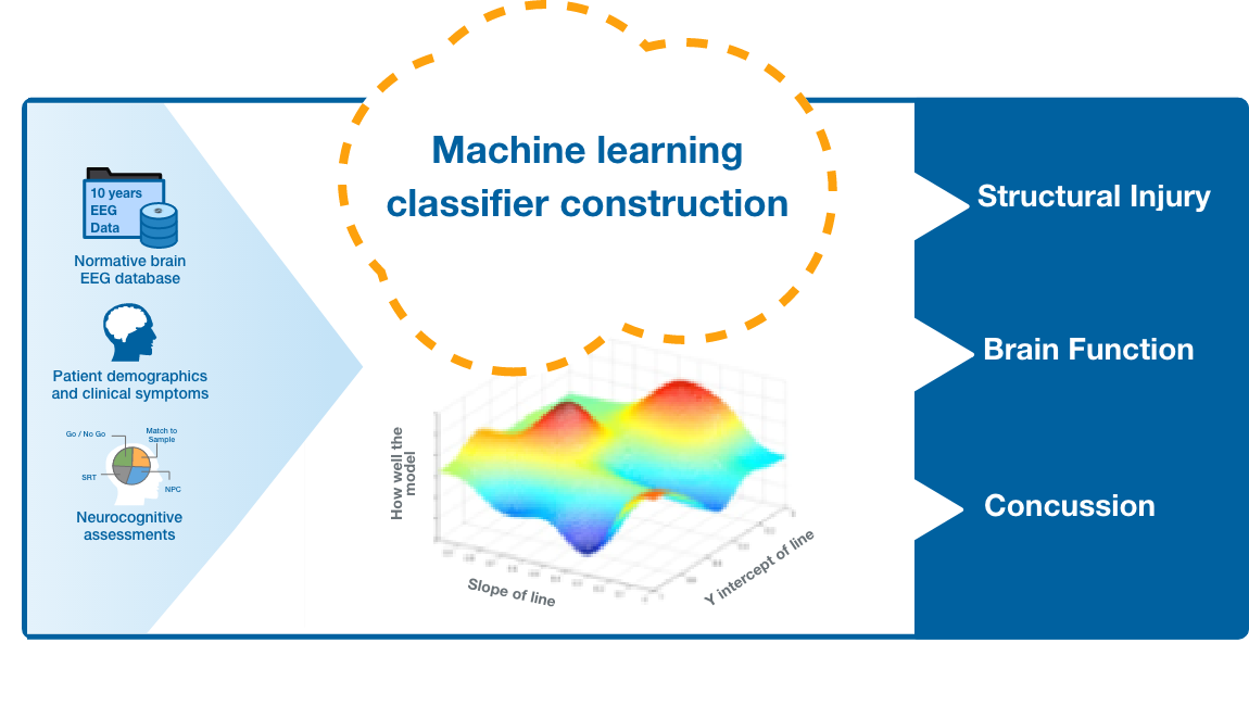 BrainView - BrainView